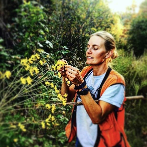 Meet Me – Wild Indigo Forestry